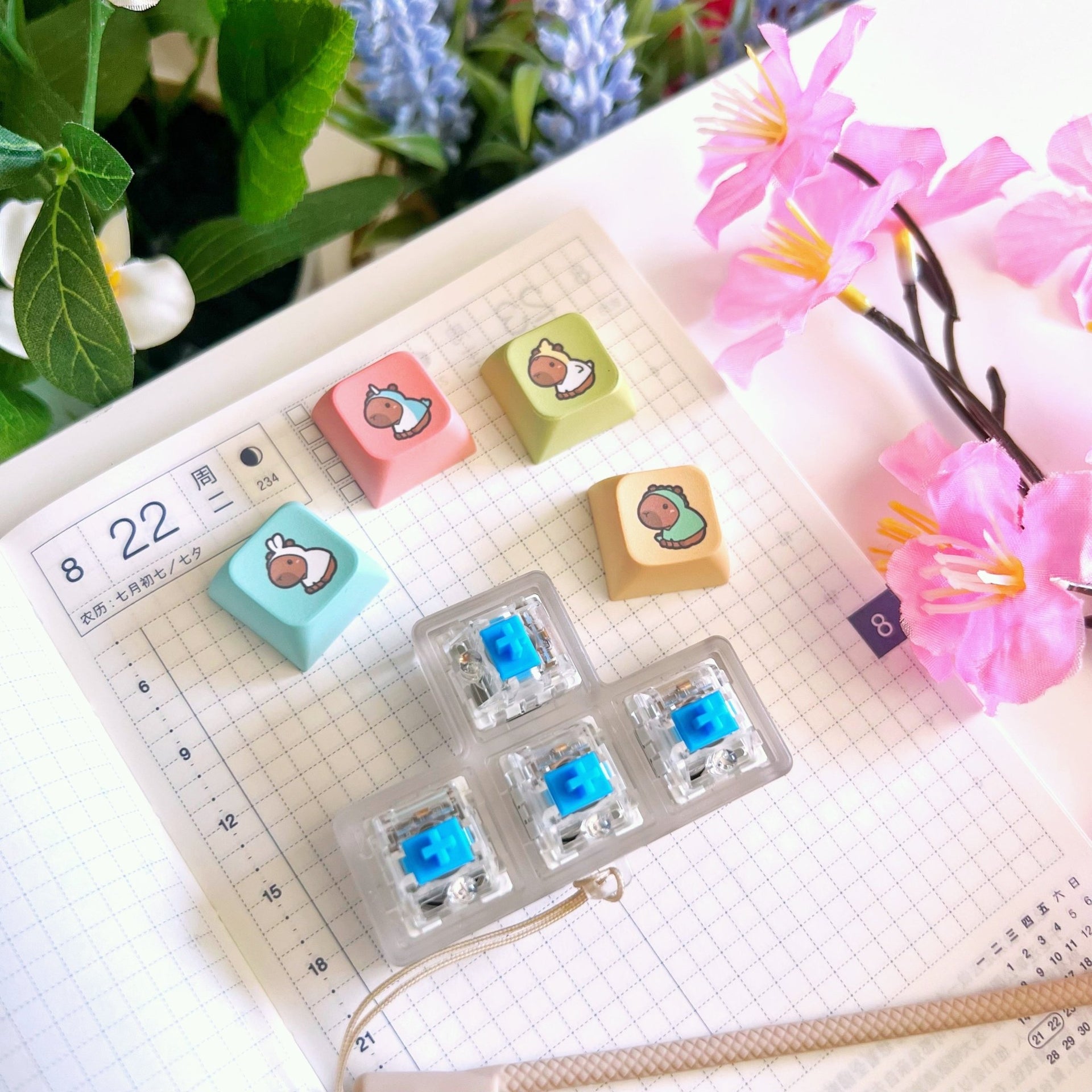 Capybara Keyboard Fidget Keychain – SumLilThings