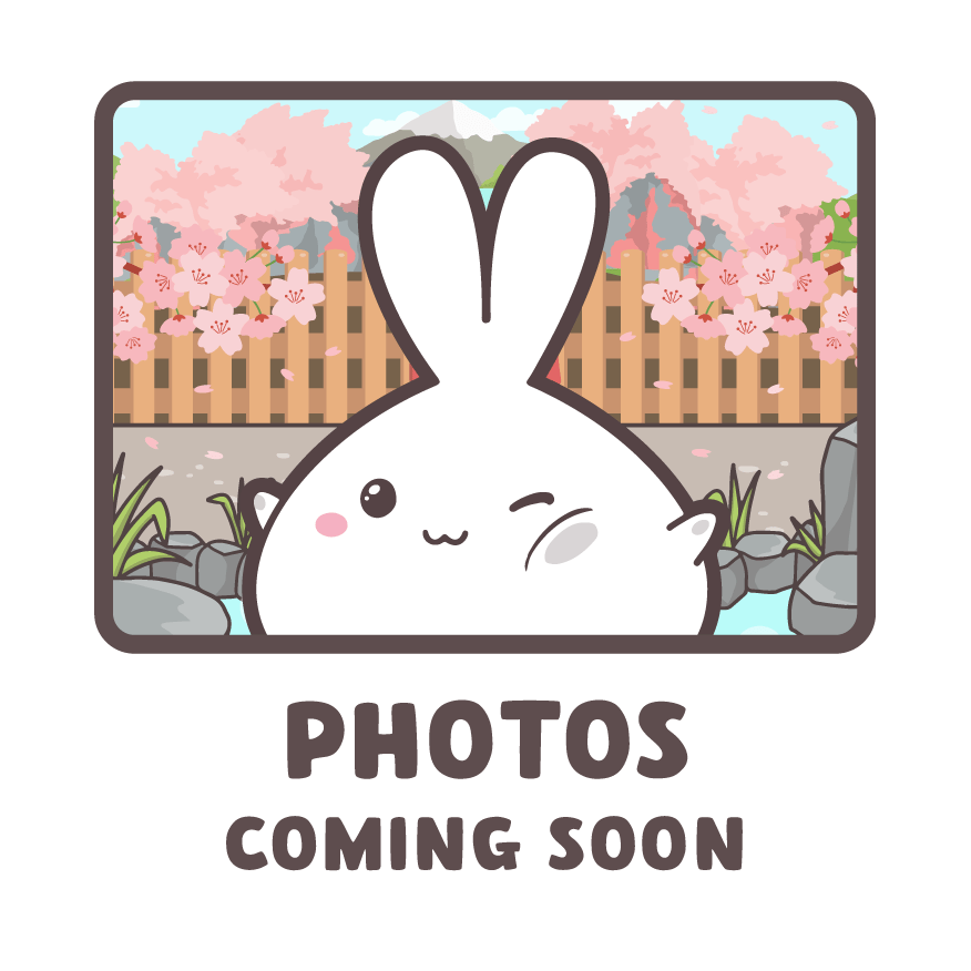 SLT Premium Add-On Items Preview – SumLilThings